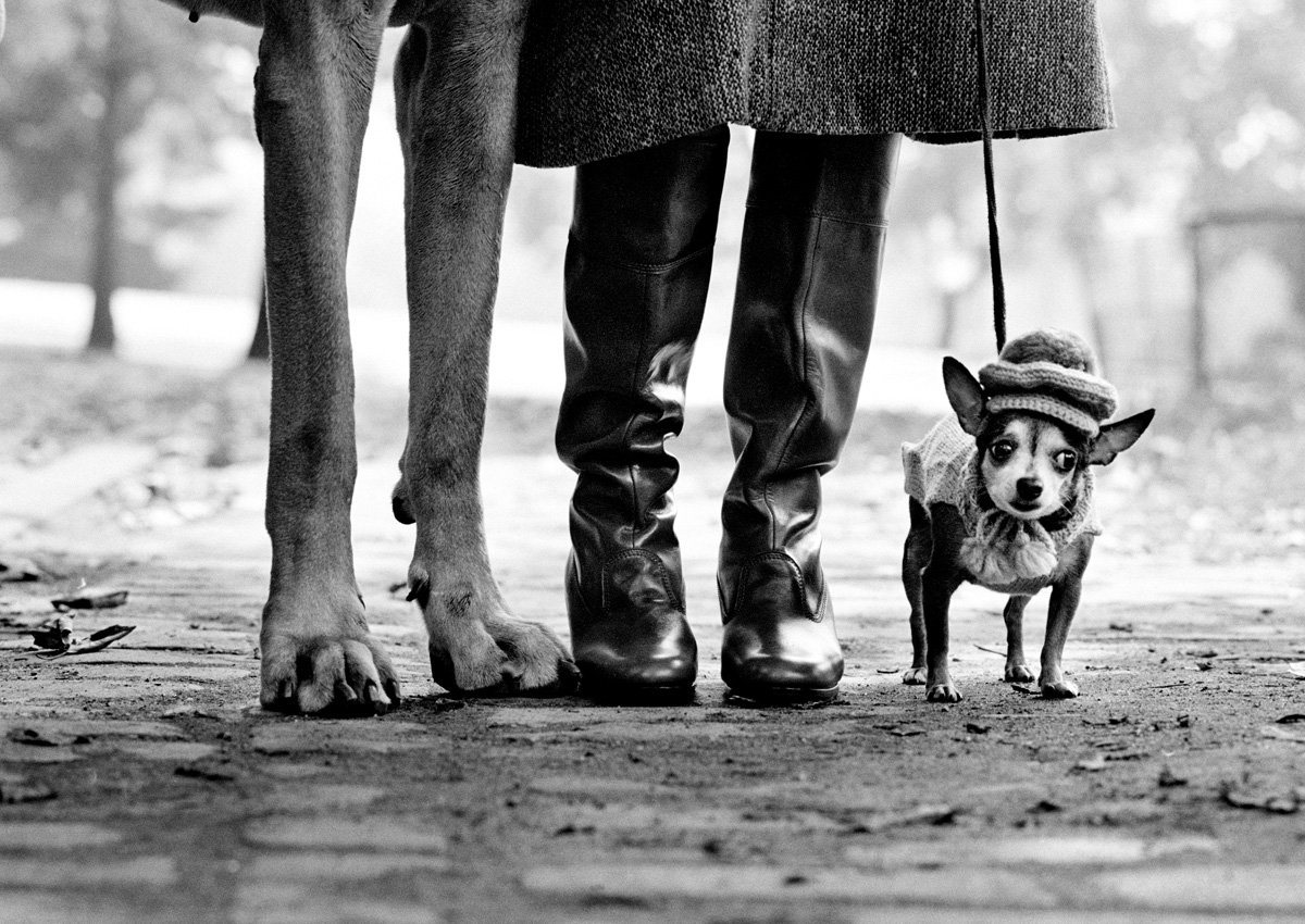 KATINKA BOCK, LE SILENCE DES CORPS