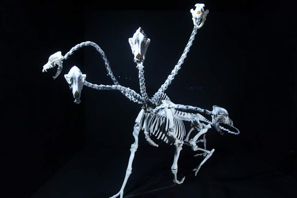 OBJECT-ORIENTED ART POST HUMANA