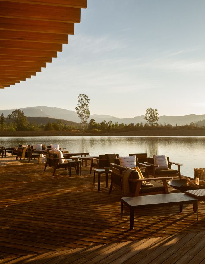 THE ART OF REGENERATION