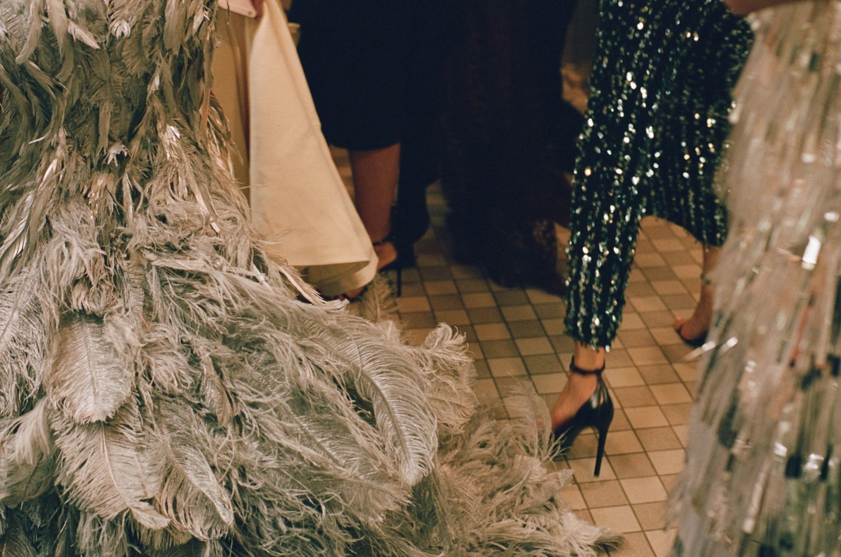 Fashion: Cass bird or the expression of beauty